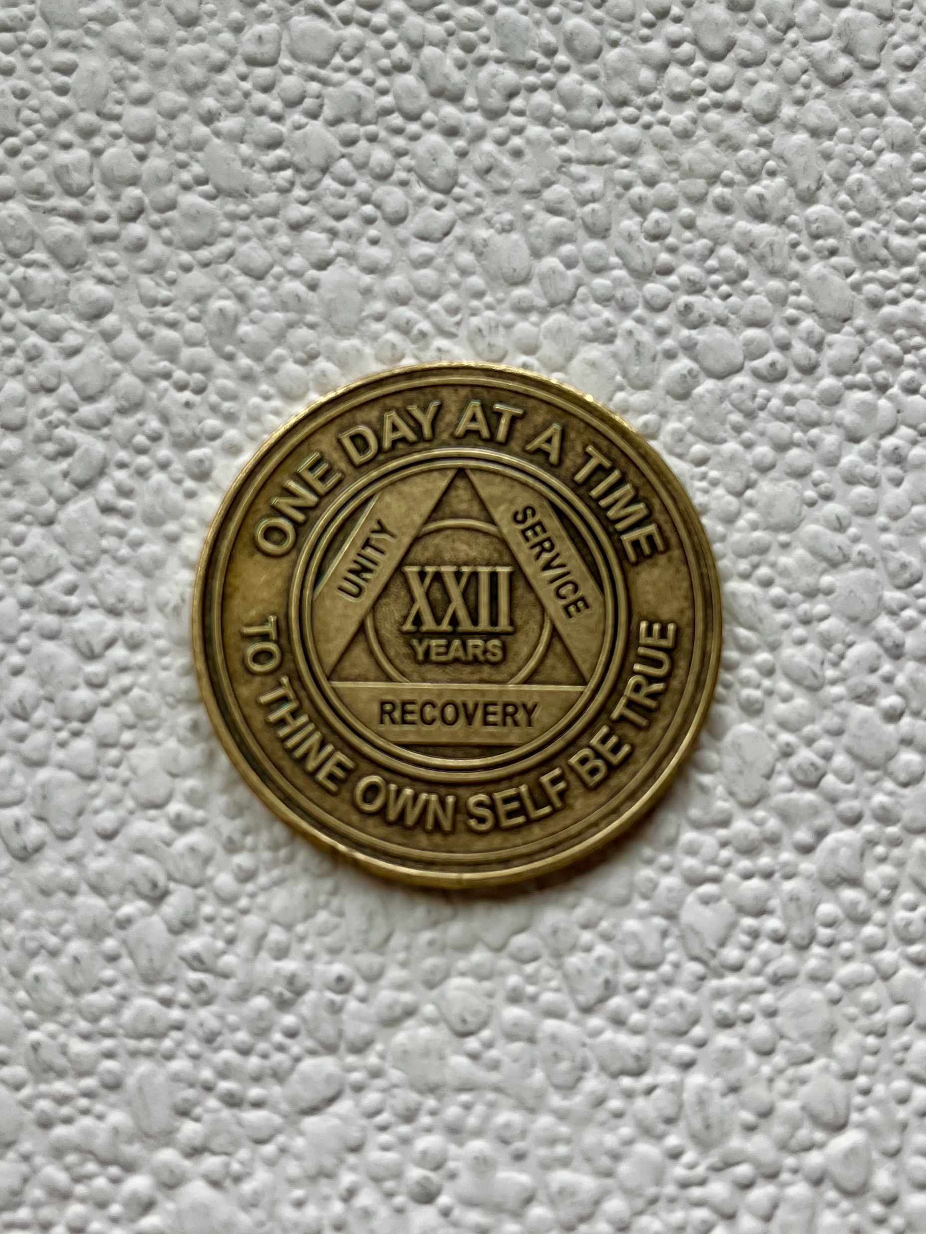 22 Years Sobriety Chip – Bronze – AA Netherlands